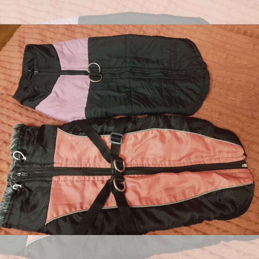 Одежда для собак