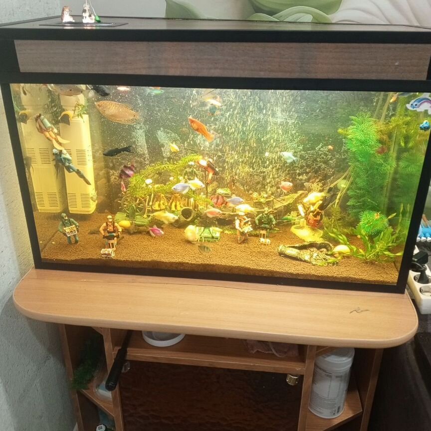 Аквариум с рыбами все как на фото