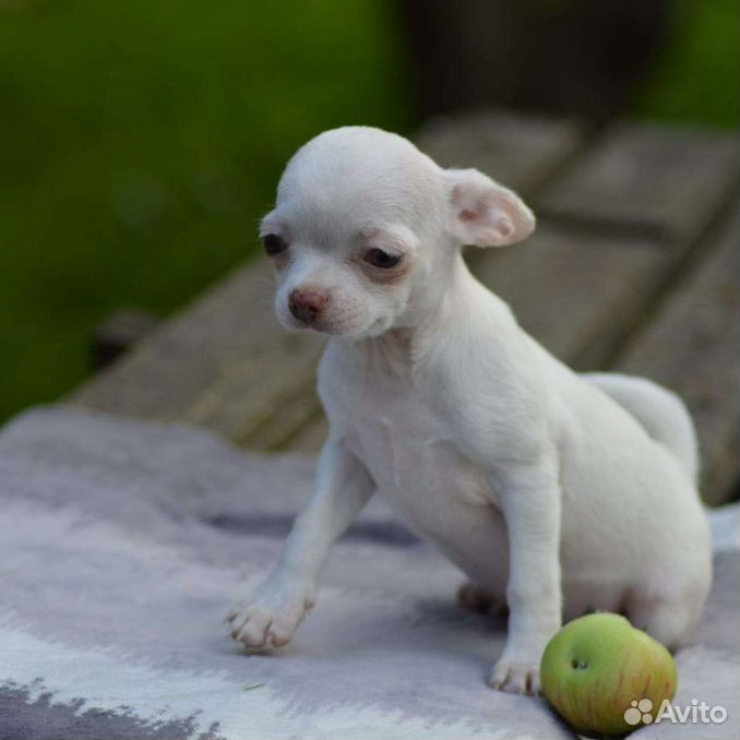 Блондиночка