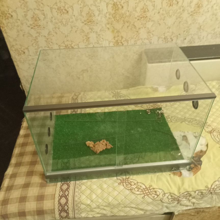 Террариум