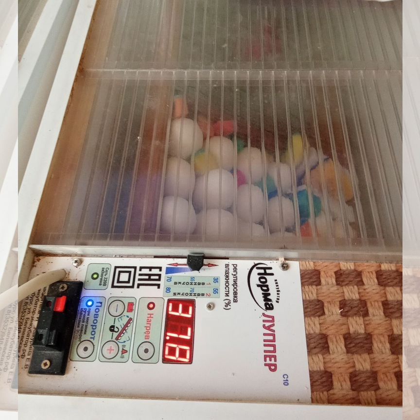 Инкубатор норма лупер