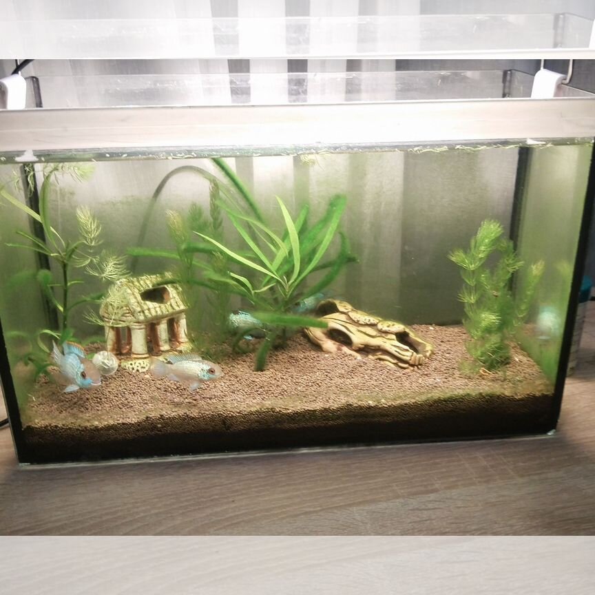 Продам аквариум 20л