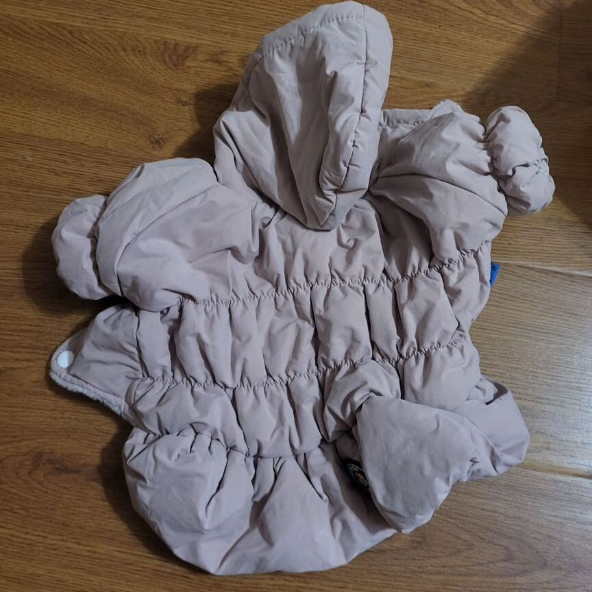 Йоркширский терьер, взрослая собака