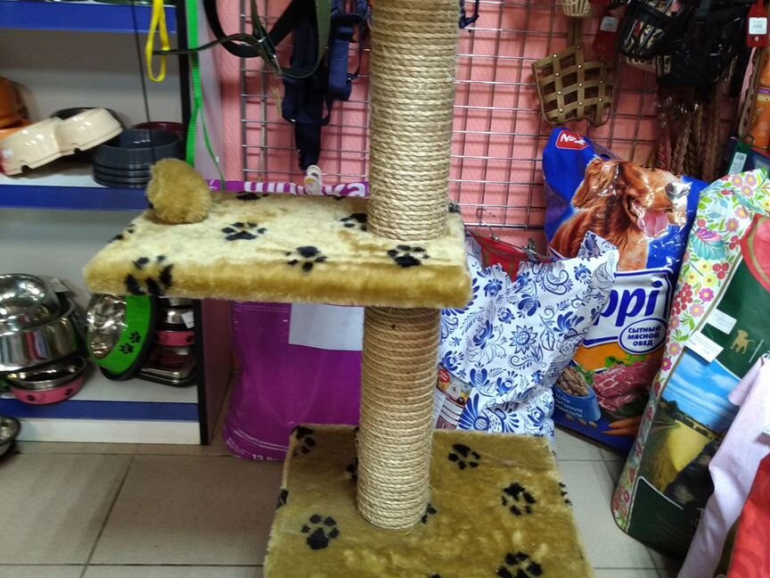 Комплекс-когтеточка