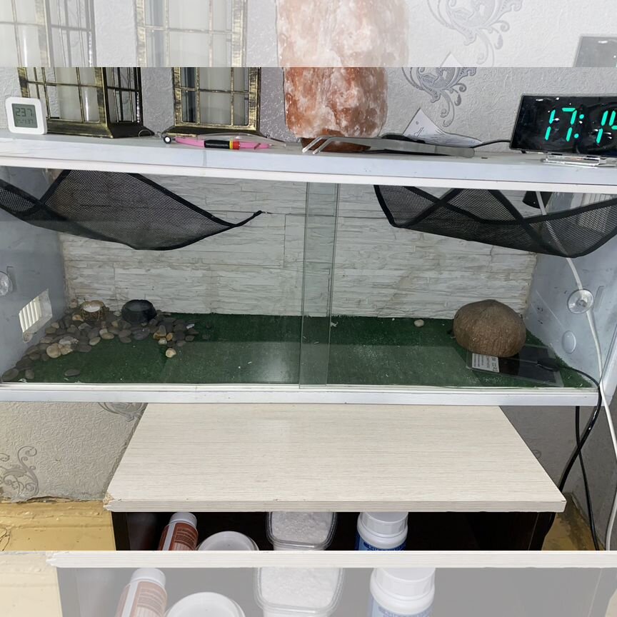 Террариум для рептилий вертикальный