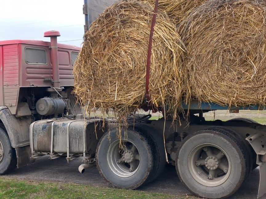 Продам сено в рулонах