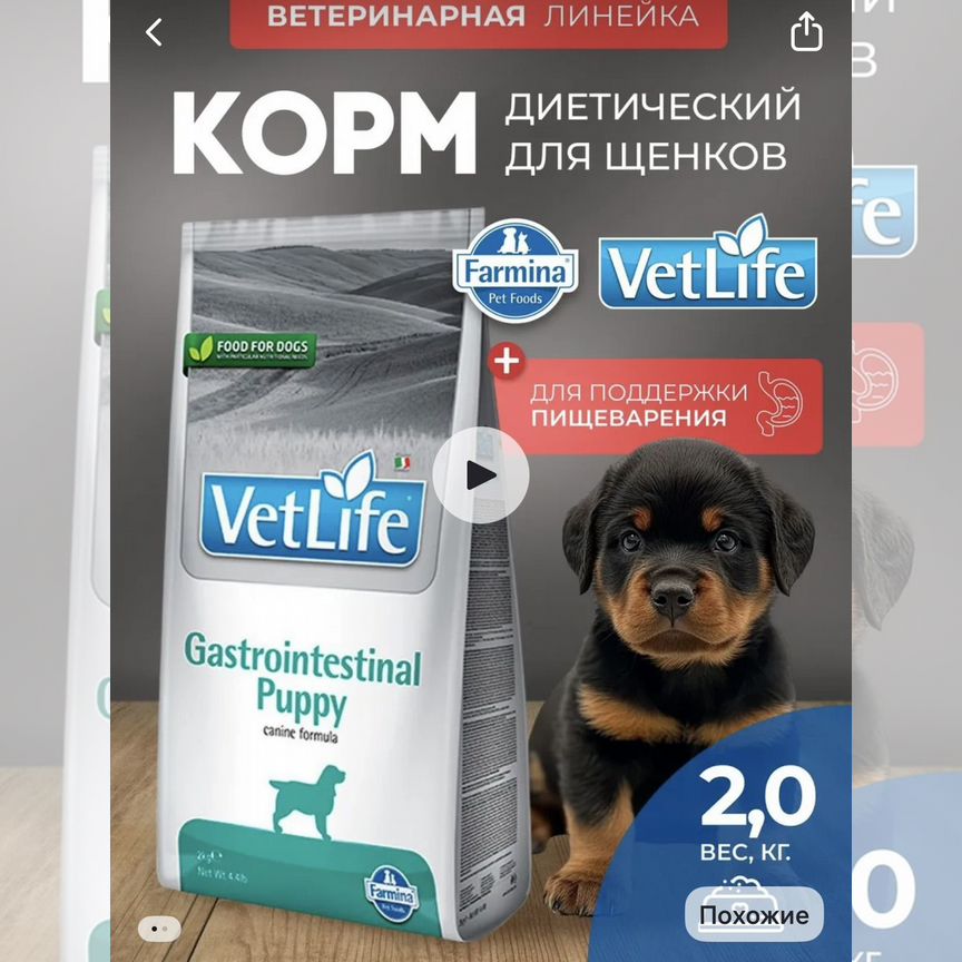 Корм для собак