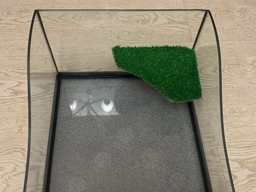 Аквариум-терариум