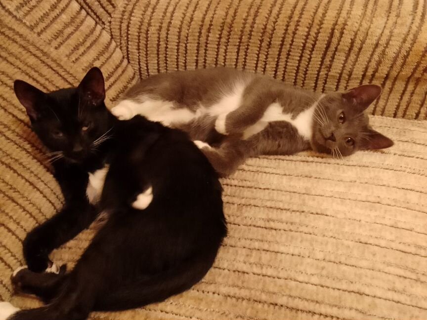 Два очаровательных подростка,3 мес