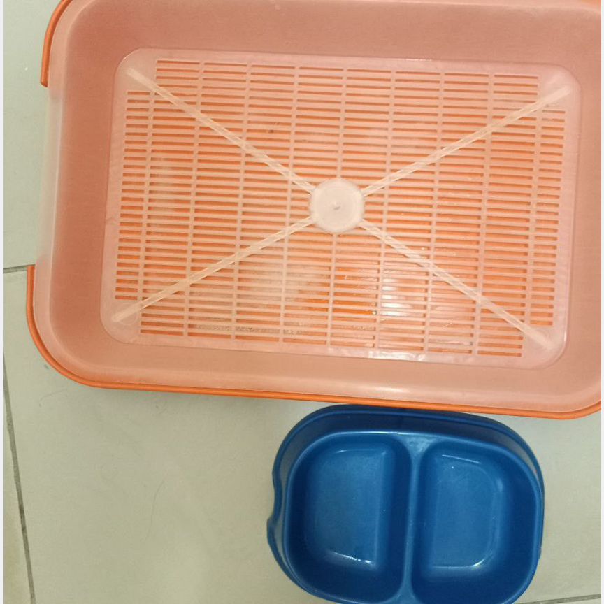 Лоток для кошек бесплатно