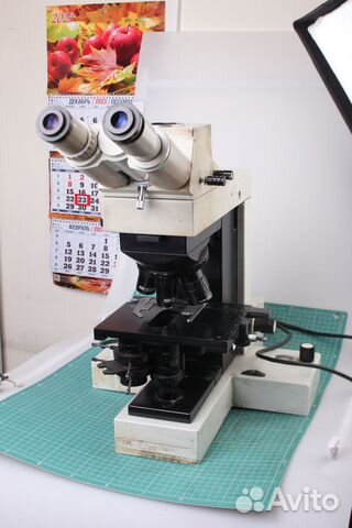 Микроскоп jenaval Carl Zeiss купить в Москве | Хобби и отдых | Авито