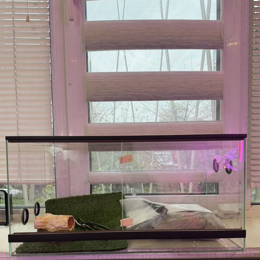 Террариум для змей/ящериц