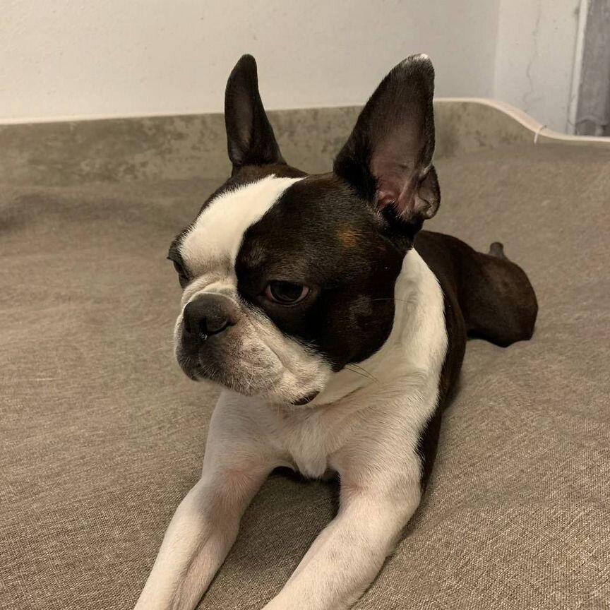 Жених ищет невесту