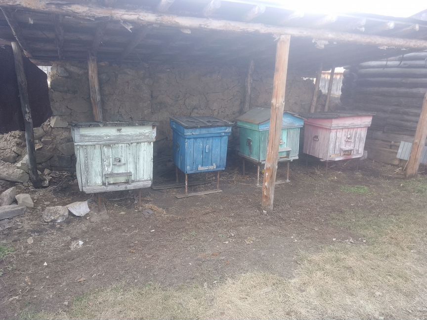 Ульи для пчел бу