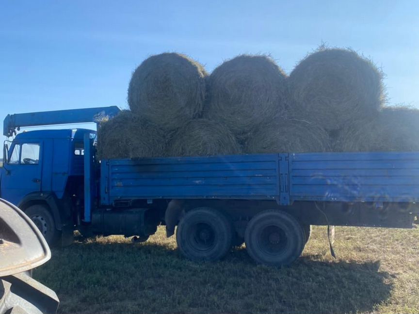 Сено в рулонах