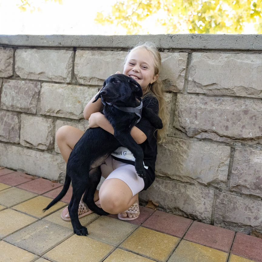 Рокки ищет дом