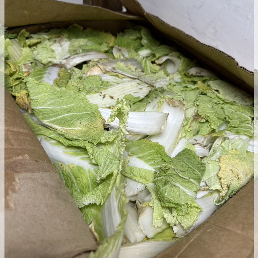 Корм для животных оптом