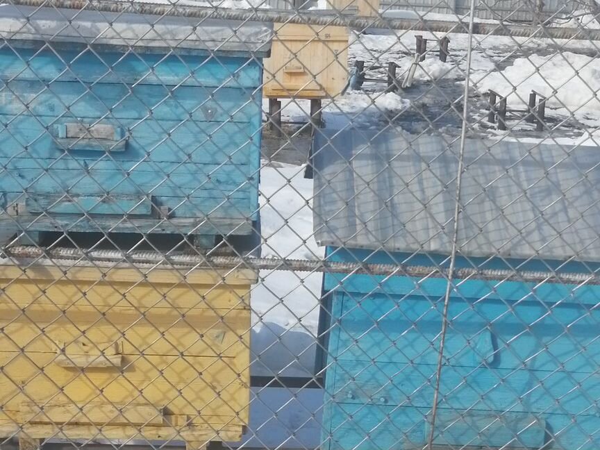 Продаю ульи б/у