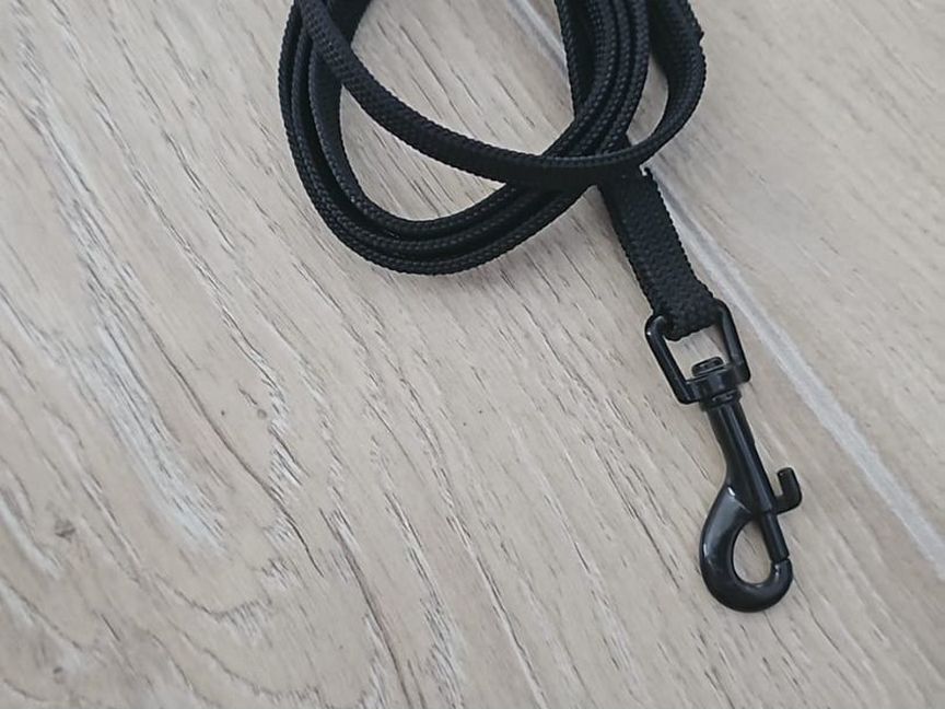 Поводок для животных