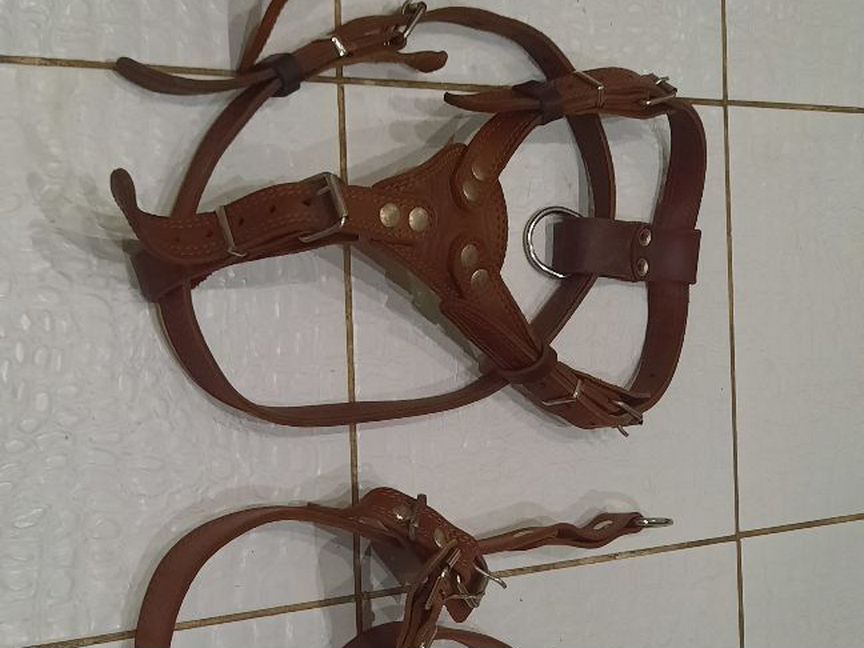 Шлейка для собаки