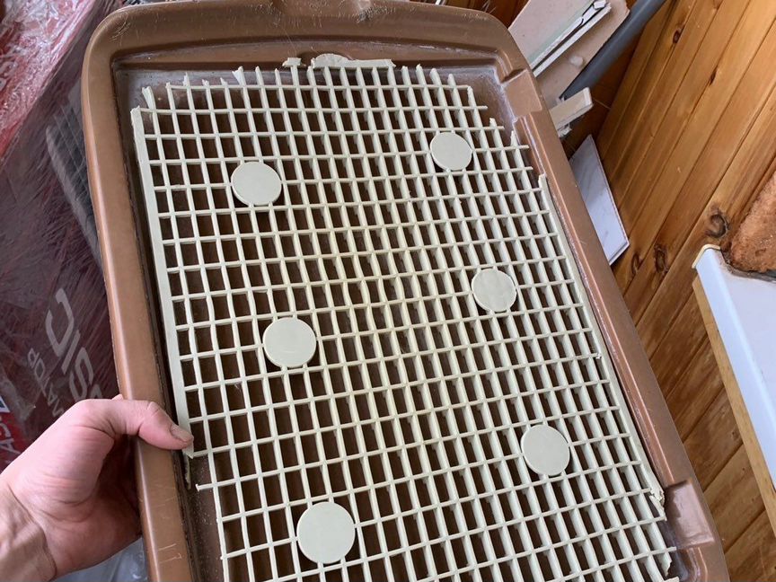 Собачий туалет