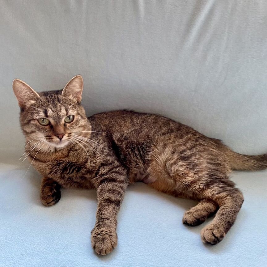 Юная красотка в добрые руки