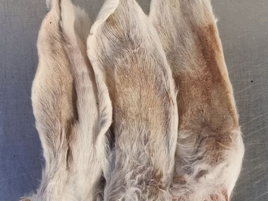 Уши и лапы кролика, сушеные лакомства для собак