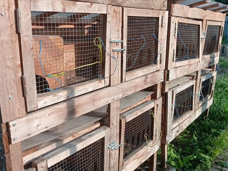 Клетки для кроликов большие