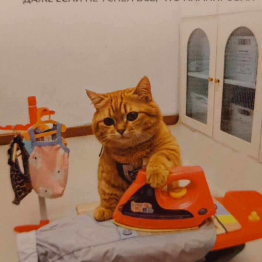 Взрослая, кошка в добрые руки