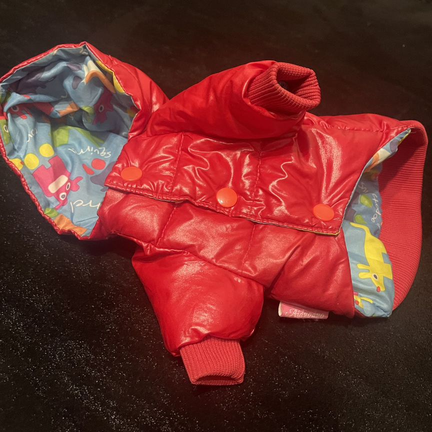 Одежда для собак