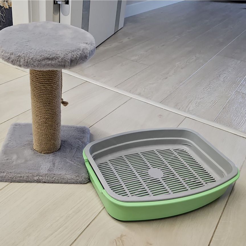 Лоток для котят   когтеточка в подарок