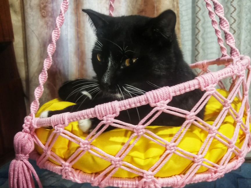 Гамак для кошек макраме