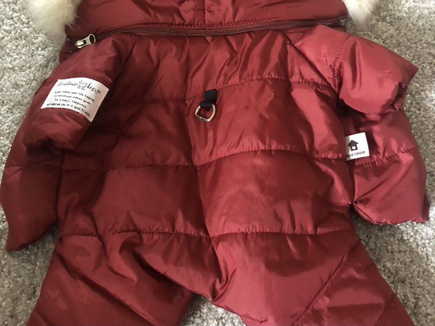 Зимний комбинезон для собачки р.S