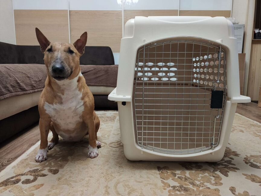 Переноска для животных vari-kennel ultra 32''