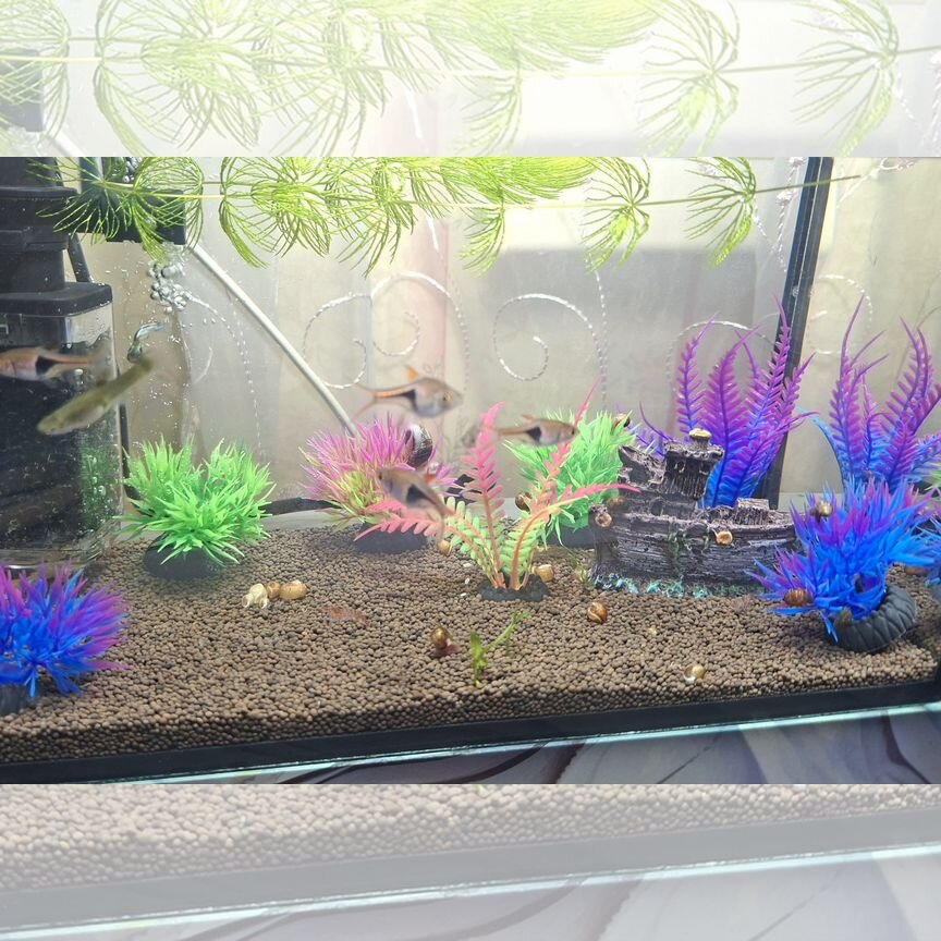 Искусственные водоросли в аквариум