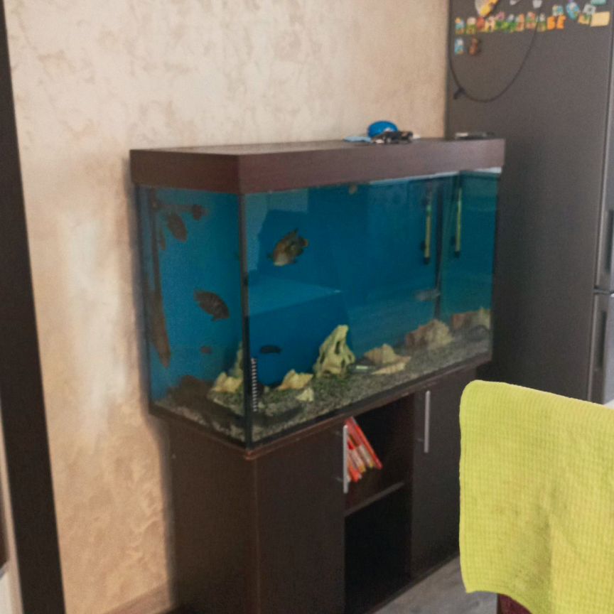 Аквариум с тумбой бу 240л