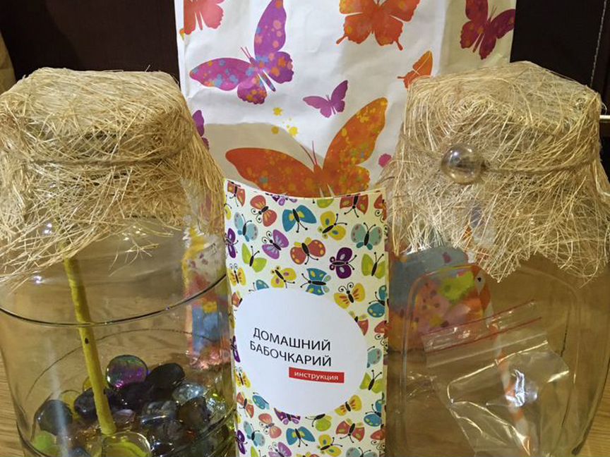 Бабочкарий, стекло