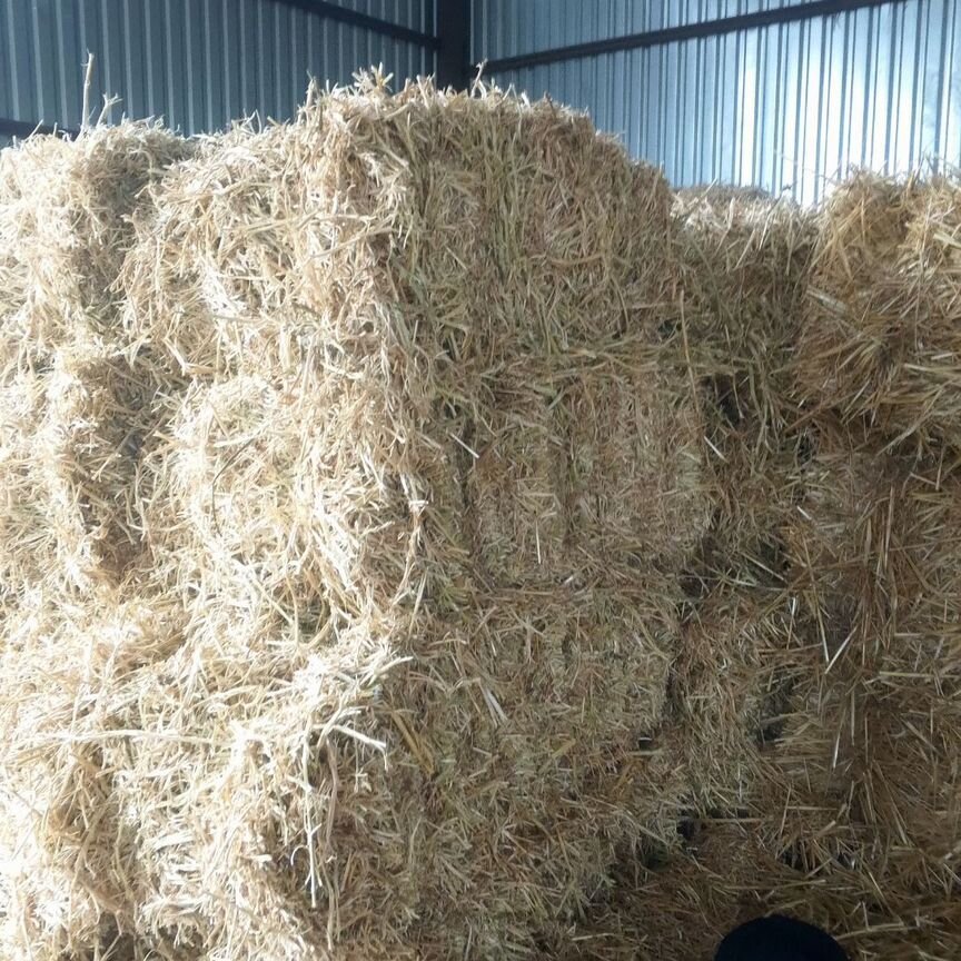 Гороховая Солома