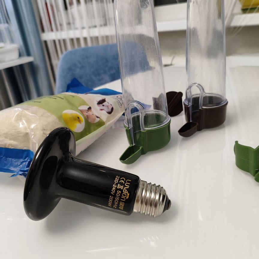 Для канареек и попугаев