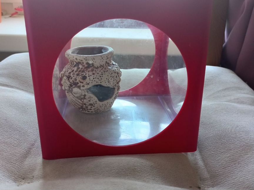 Аквариум пластиковый для начинающего аквариумиста