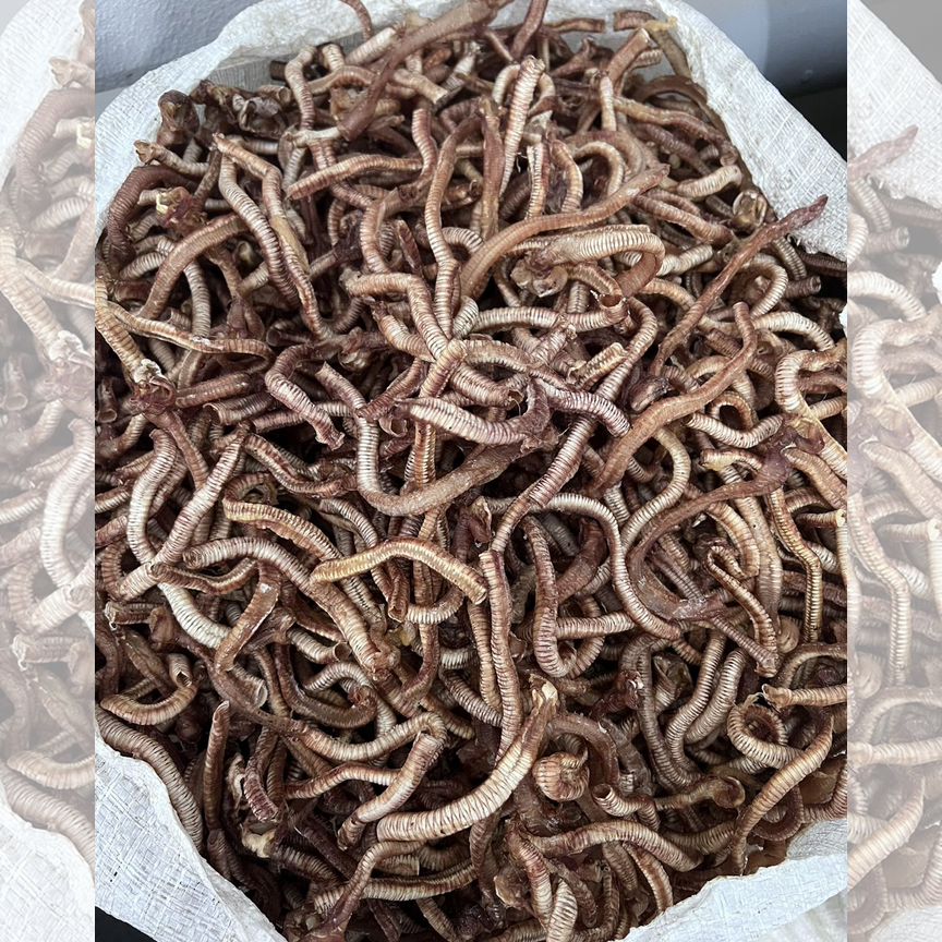 Трахея утиная, лакомства для собак