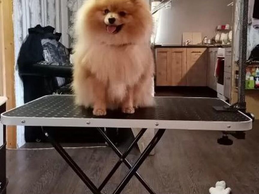 Стол для груминга wikigroom mini