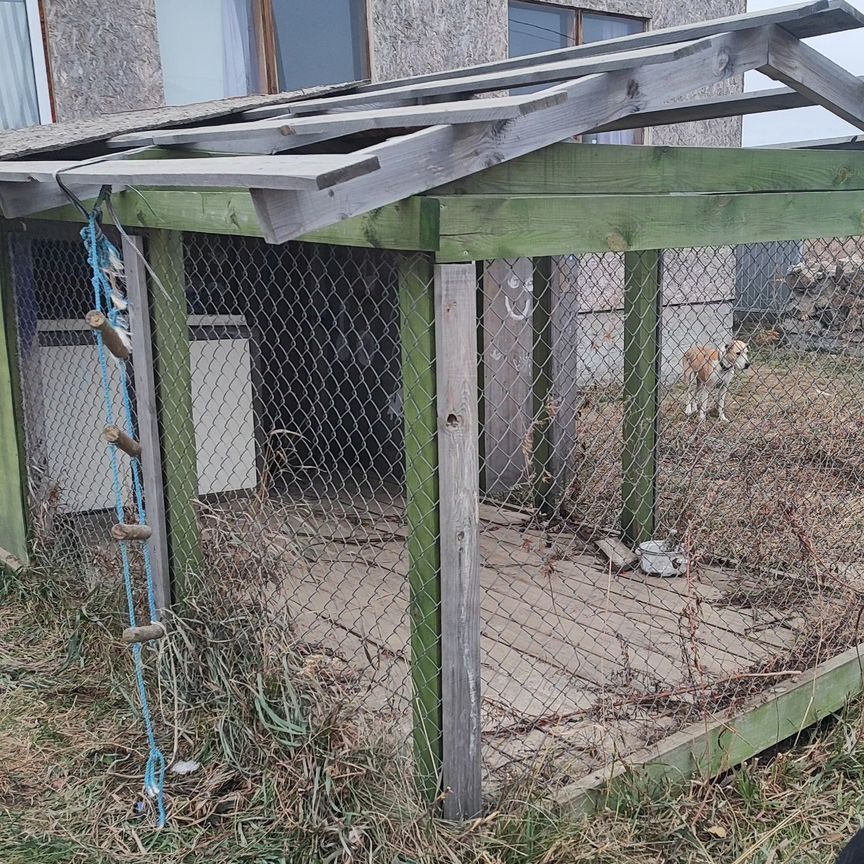 Вольер для собак бесплатно