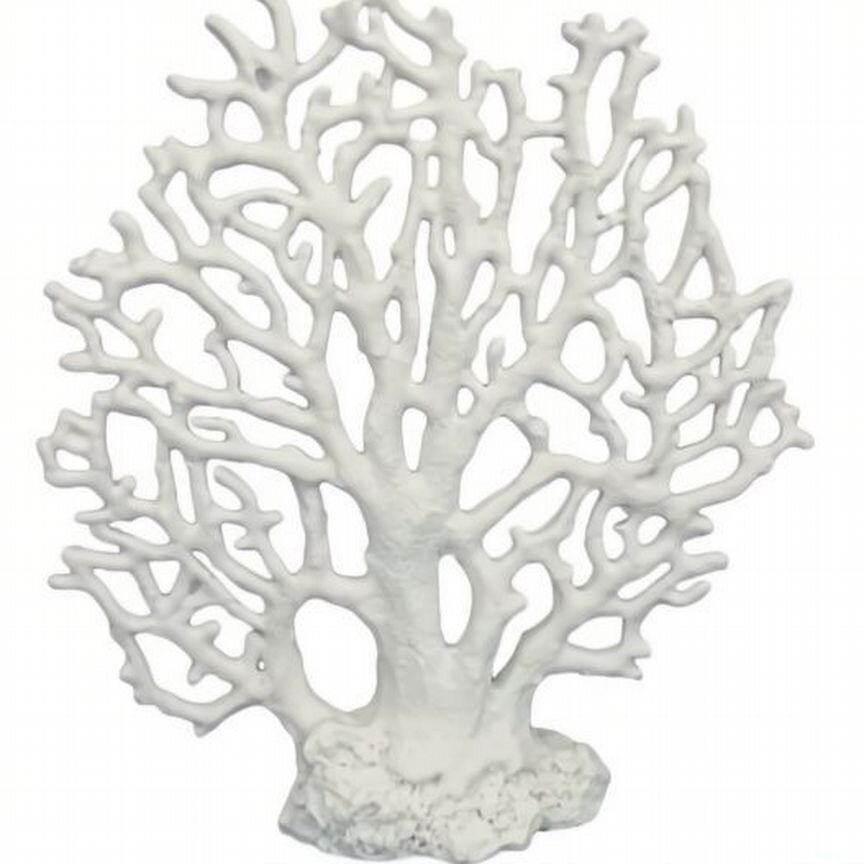 Большой Белый коралл. Нидерланды