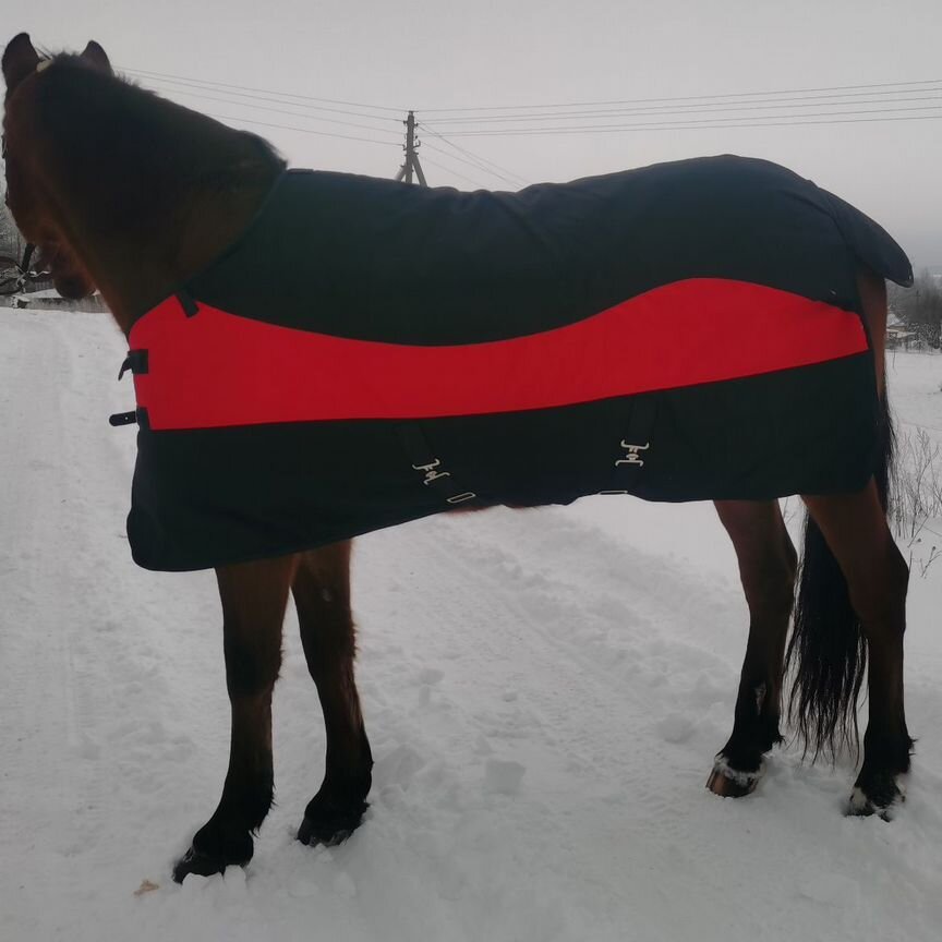 Попона на лошадь 130см зимняя новая