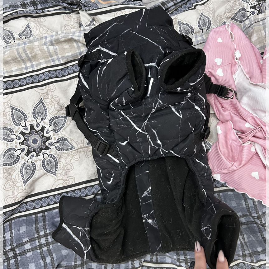 Одежда для собаки таксы мальчика