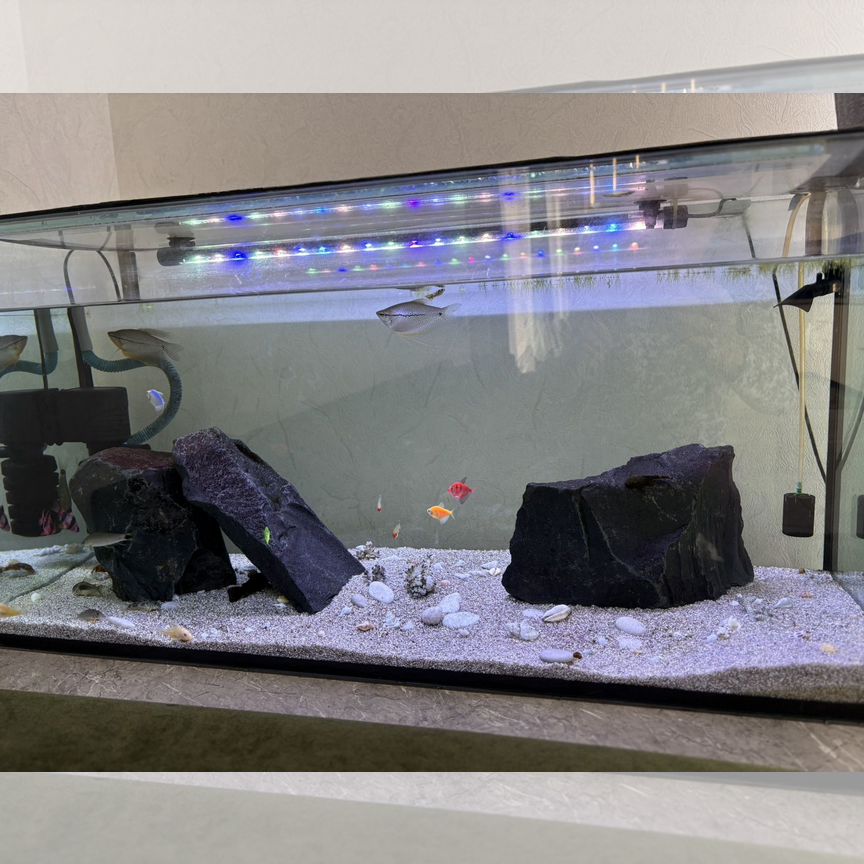 Аквариум 120 литров под ключ