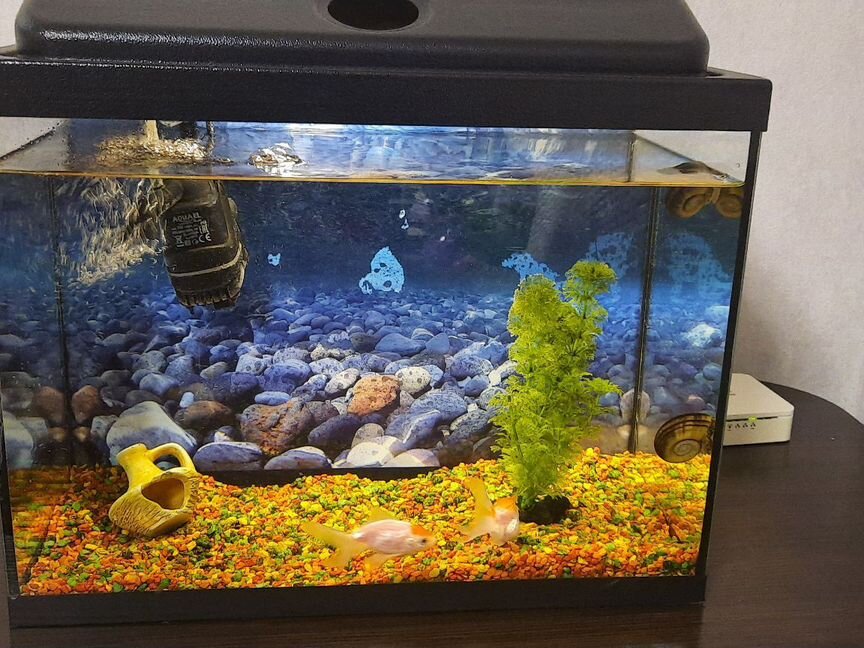 Аквариум с рыбками
