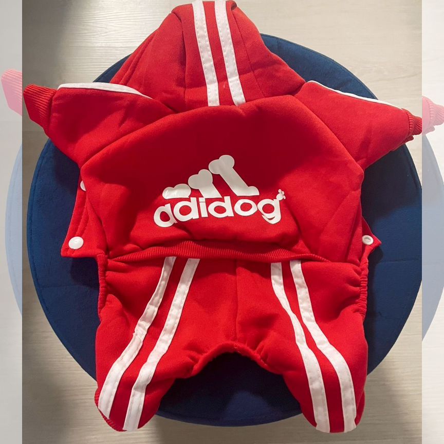 Костюм для собаки/кошки