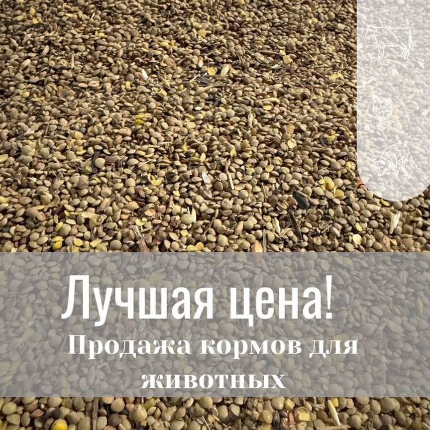 Корм для скота